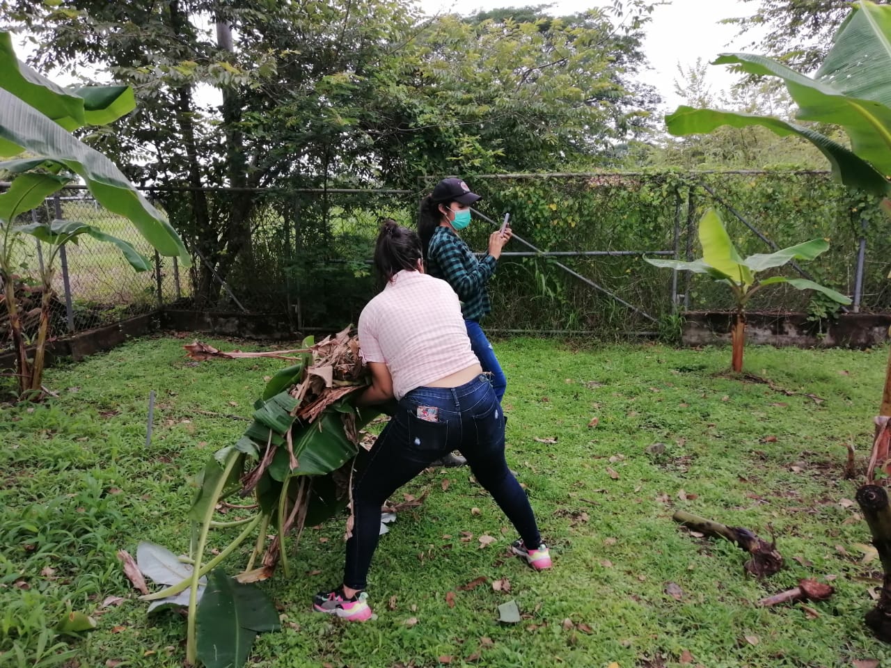 Extensión de los Santos y Nutre Hogar promueven proyecto de huerto