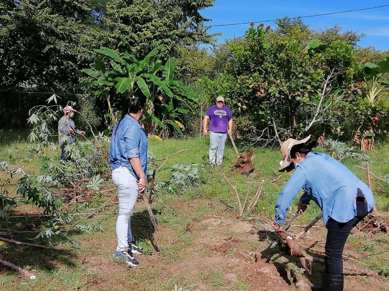 Extensión de los Santos y Nutre Hogar promueven proyecto de huerto