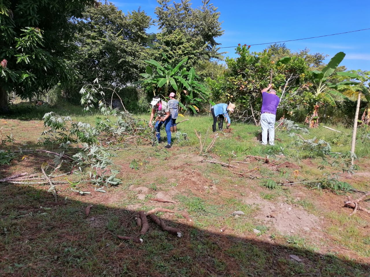 Extensión de los Santos y Nutre Hogar promueven proyecto de huerto